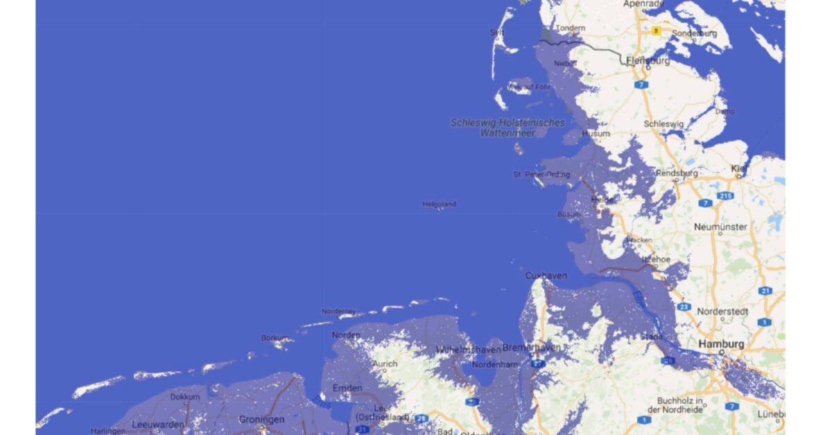 Wissen | ZENAGA FOUNDATION